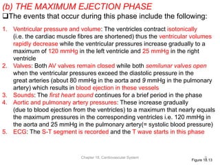 Cardiac cycle | PPT