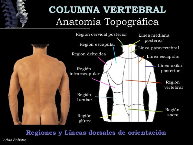 Columna Lumbosacra