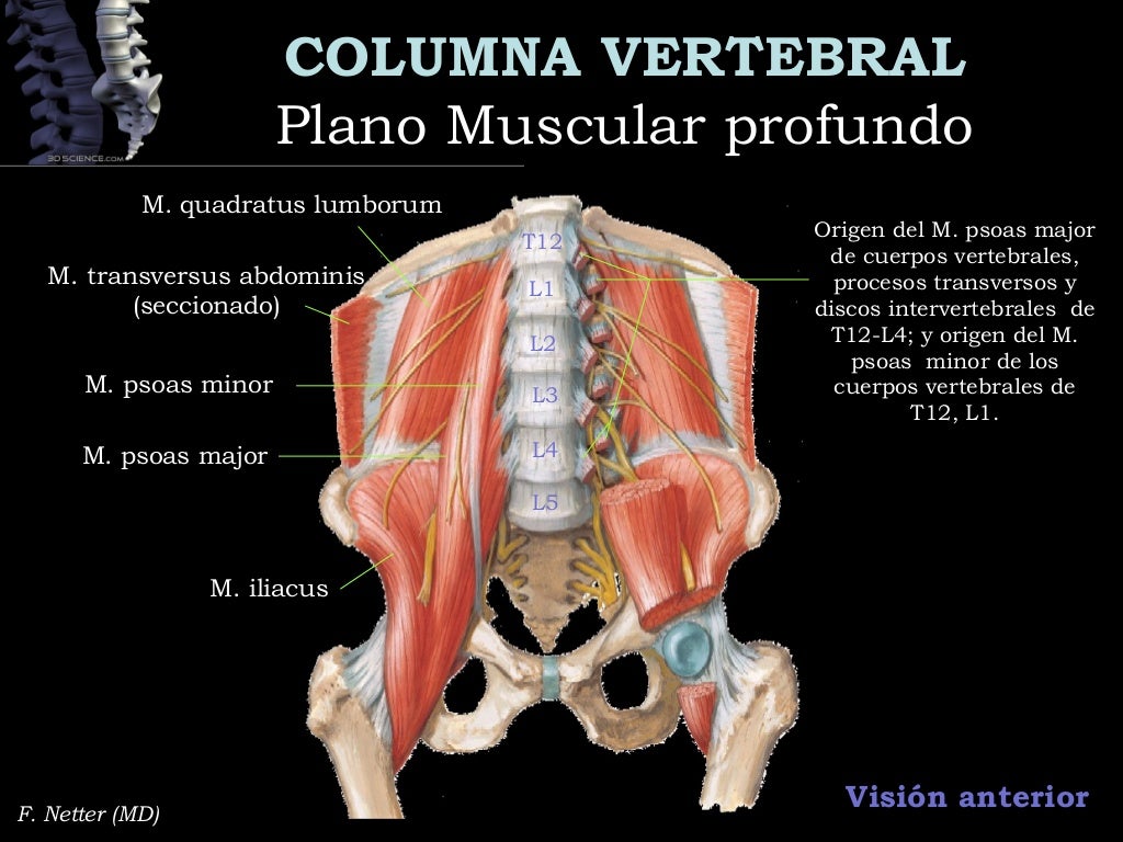 Columna Lumbosacra