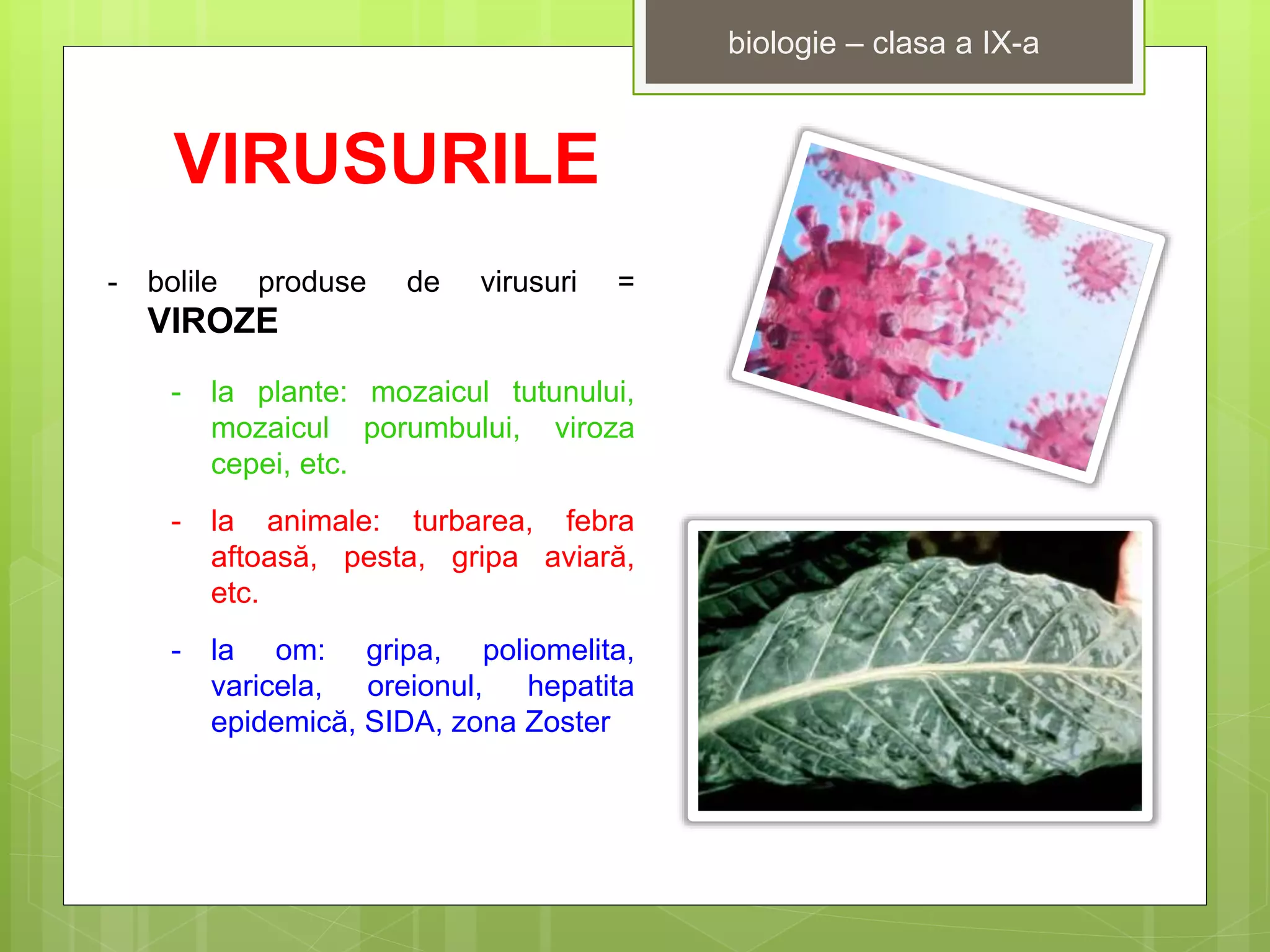 Cls. a 9-a - lectia 1 - Monera.pptx