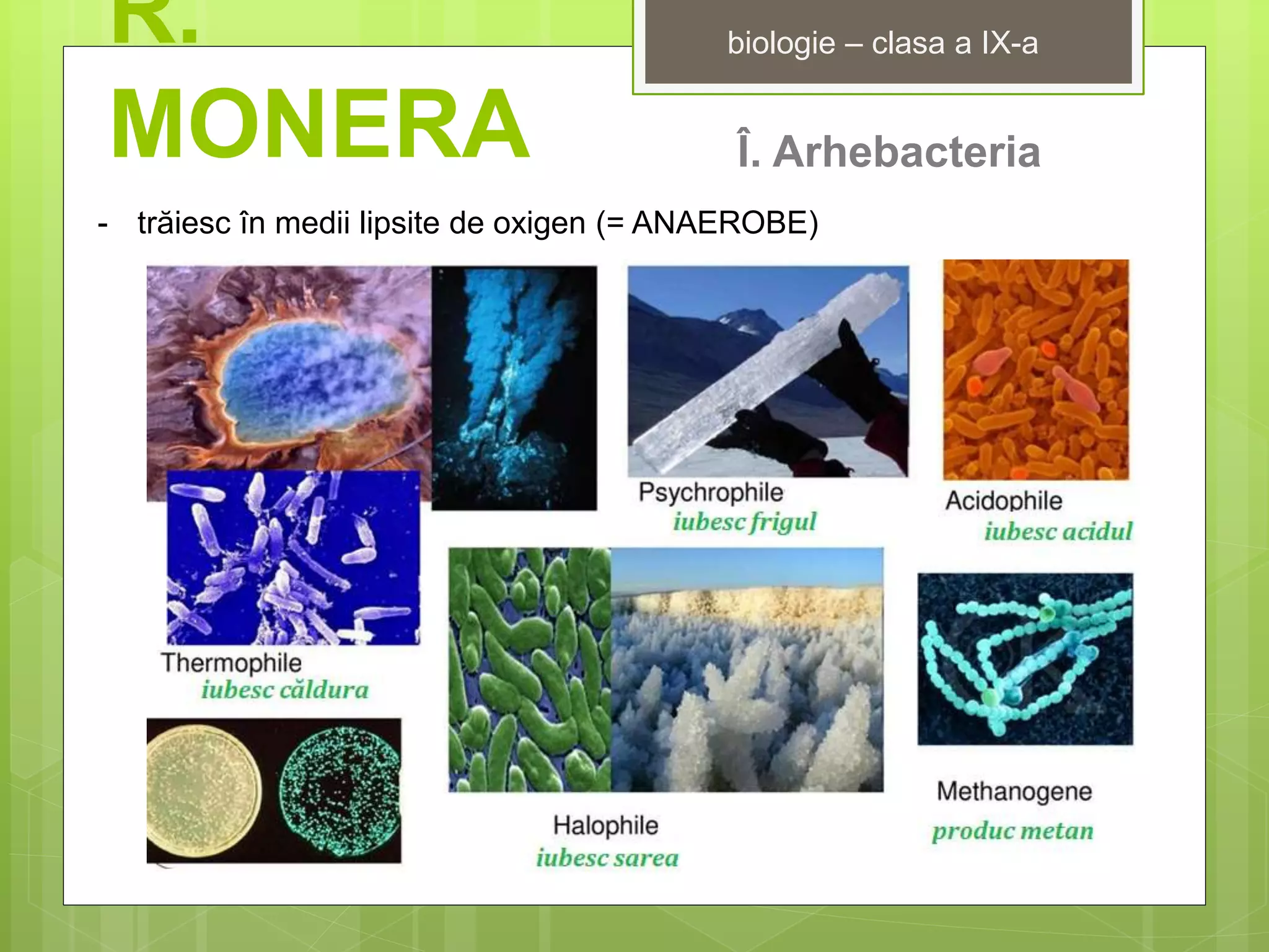 Cls. a 9-a - lectia 1 - Monera.pptx