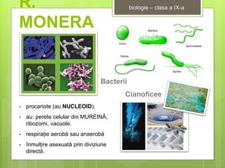Cls. a 9-a - lectia 1 - Monera.pptx