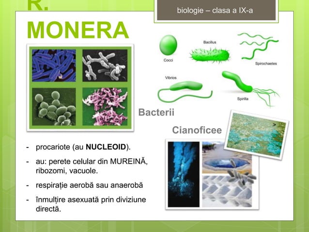 Cls. a 9-a - lectia 1 - Monera.pptx