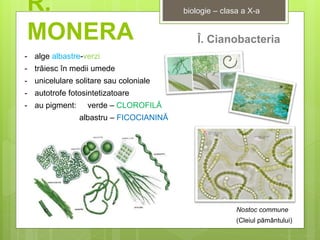 Cls. a 9-a - lectia 1 - Monera.pptx