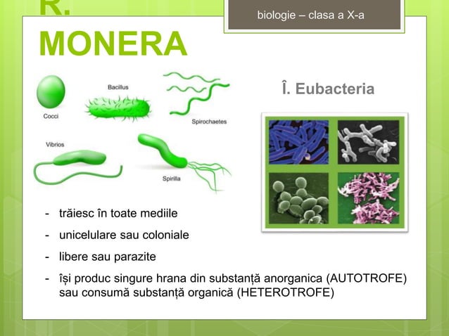 Cls. a 9-a - lectia 1 - Monera.pptx