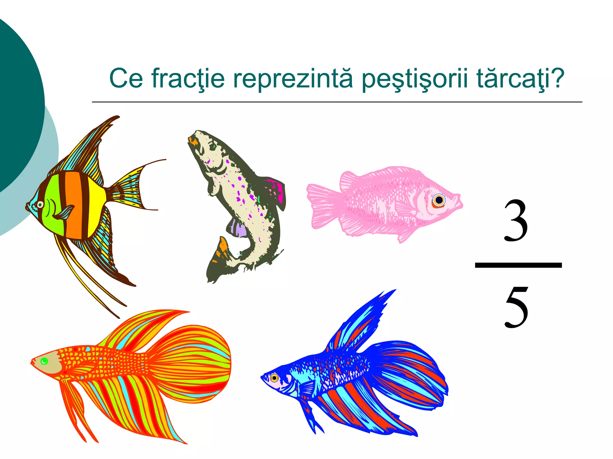 Cls.5 - Fractii.ppt