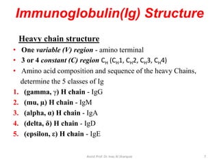 CLS-MB-2,3-Structure and Classes of Immunoglobulins.pdf