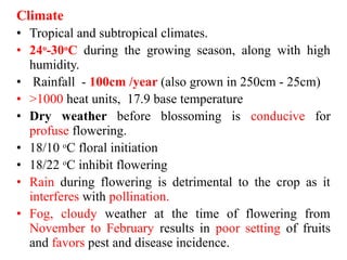 Production Technology of Mango - Soil type, Climate, Irrigation and ...