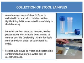 Medical Laboratory Sciences. DCLS644 Lab | PPTX