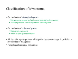 Mycetoma Grains