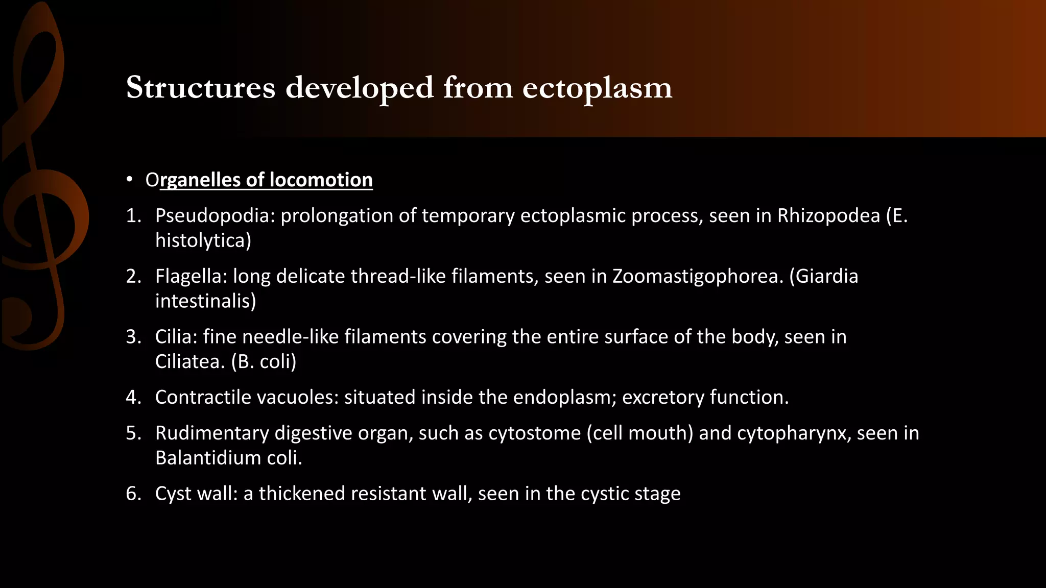 Clssification of parasites | PPTX