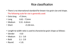 Cereal and Legume Technology lecture slides3.pdf