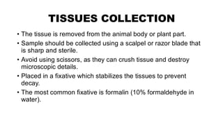 Clinical Laboratory Technology - Tissue collection and processing | PDF