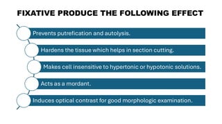 Clinical Laboratory Technology - Tissue collection and processing | PDF