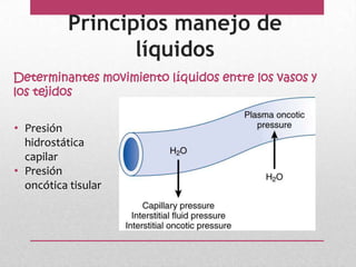 Líquidos en neuroanestesia | PPTX