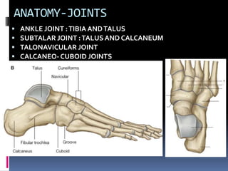 Club foot | PPTX
