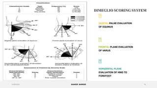 Club foot SHAKER BARKER | PPT