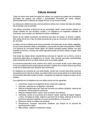 Célula animal | DOCX