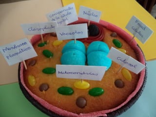 Célula comestible 1 c | PPT