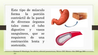 Célula muscular lisa | PPTX