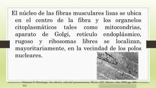 Célula muscular lisa | PPTX
