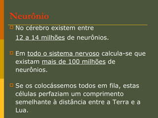 Célula nervosa neurônio | PPT