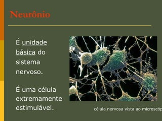 Célula nervosa neurônio | PPT