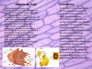 Células animales y vegetales ya | PPTX