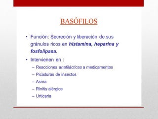 Células basófilos | PPTX