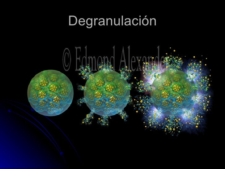 CéLulas Cebadas, Basofilos Y EosinóFilos