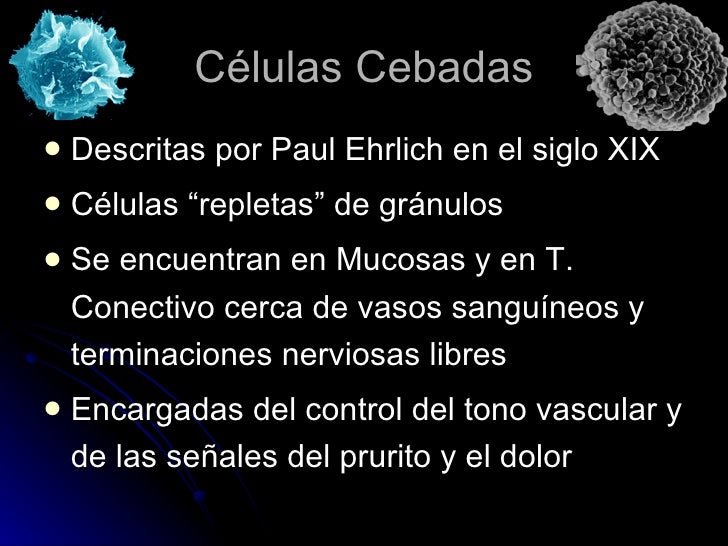 CéLulas Cebadas, Basofilos Y EosinóFilos