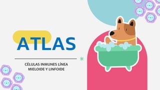 CÉLULAS INMUNES LÍNEA MIELOIDE Y LINFOIDE.pptx