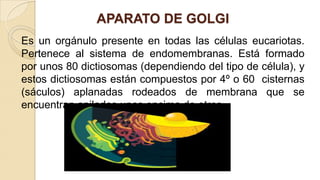 PARTES DE LA CÉLULA VEGETAL | PPTX