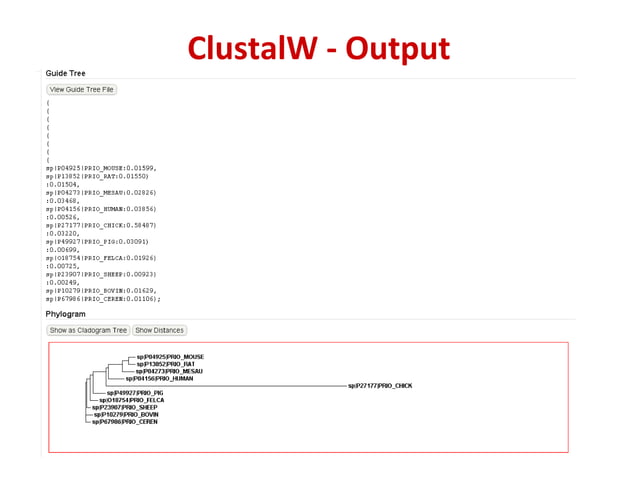 Clustal | PPT