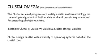 clustal omega.pptx