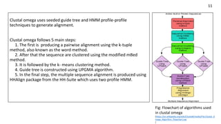 clustal omega.pptx