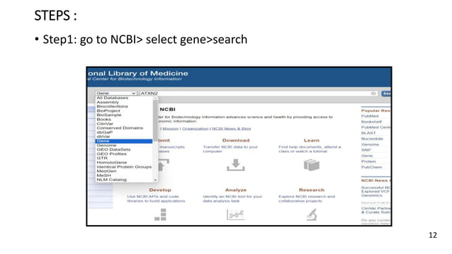 clustal omega.pptx | Genetics | Science
