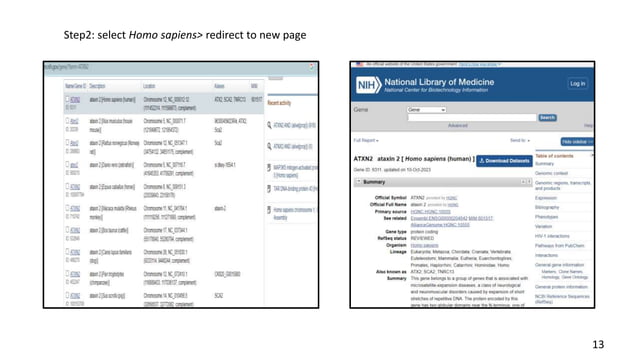 clustal omega.pptx | Genetics | Science