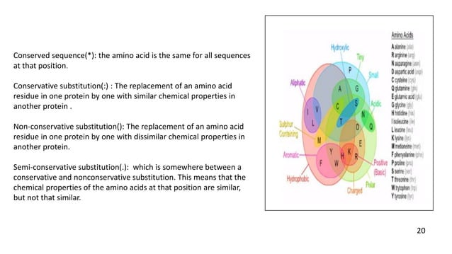 clustal omega.pptx | Genetics | Science