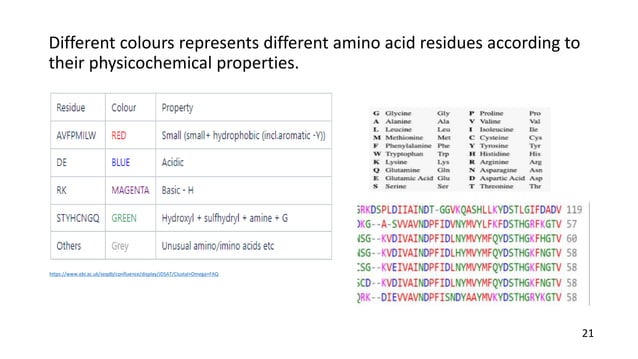 clustal omega.pptx | Genetics | Science