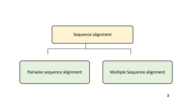 clustal omega.pptx | Genetics | Science