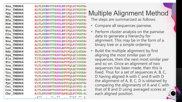 Clustal W - Multiple Sequence alignment | PPTX | Genetics | Science