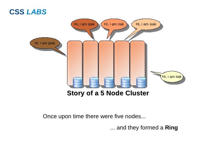 Distributed Key Value Stores Featuring Riak