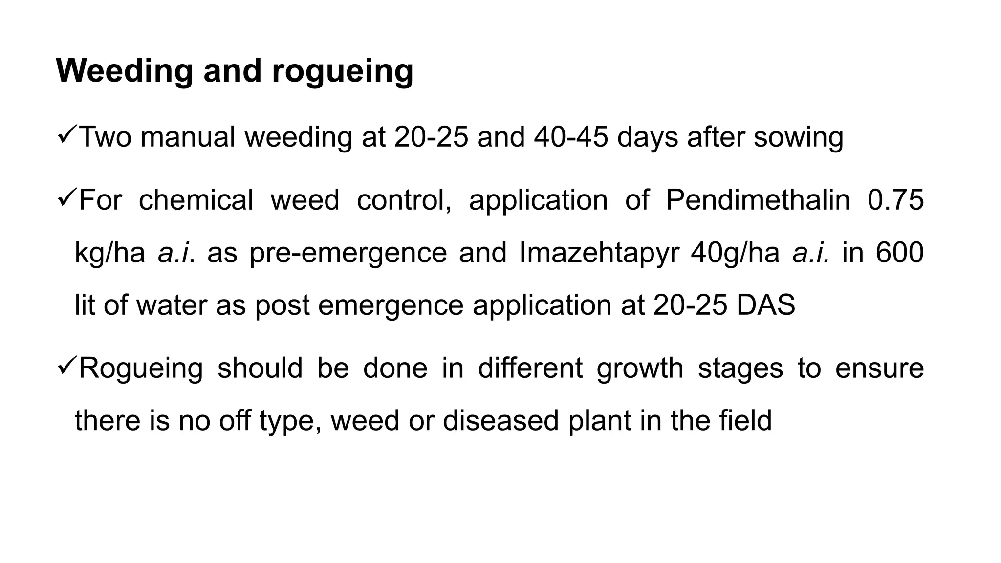 Cluster bean seed production | PPTX