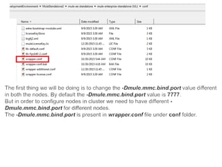 Mule Clustering | PPT