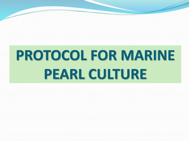 Cluture of pearl oyster by SYED AASIM HAQ | PPT