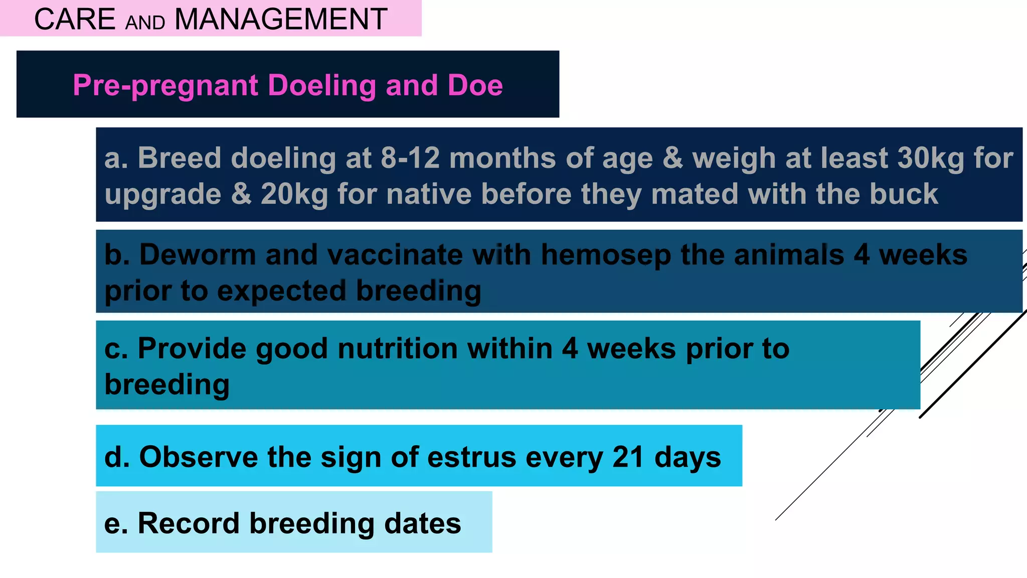 Care and Management-of-Goats.pptx