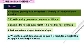 Care and Management-of-Goats.pptx