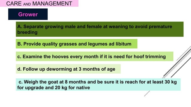 Care and Management-of-Goats.pptx | Pregnancy | Reproductive Health