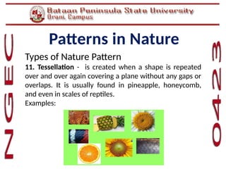 Mathematics in the Modern World-Topic 01 Patterns in Nature.pptx